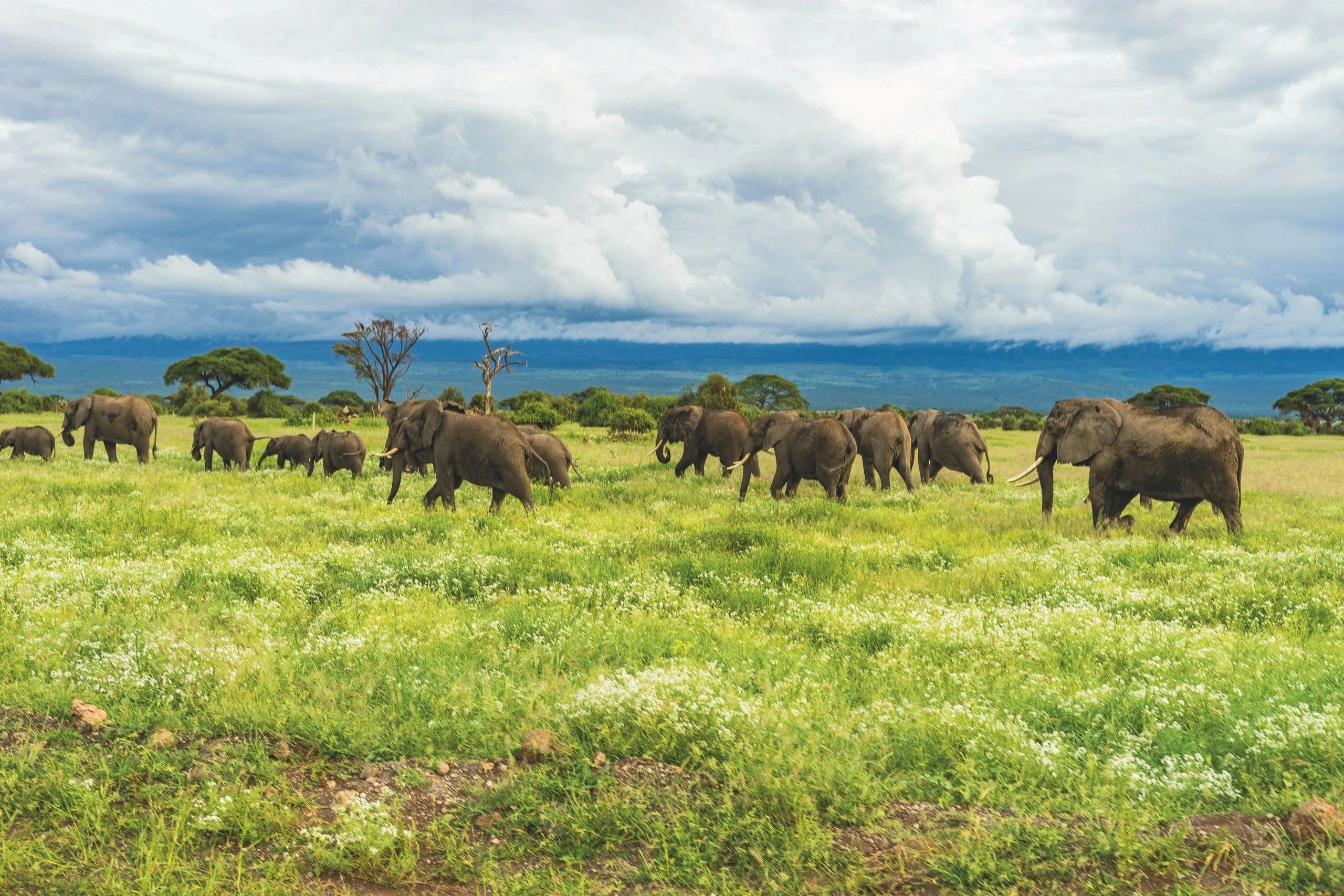 Our Team | Nature Research and Conservation Centre (NRCC)