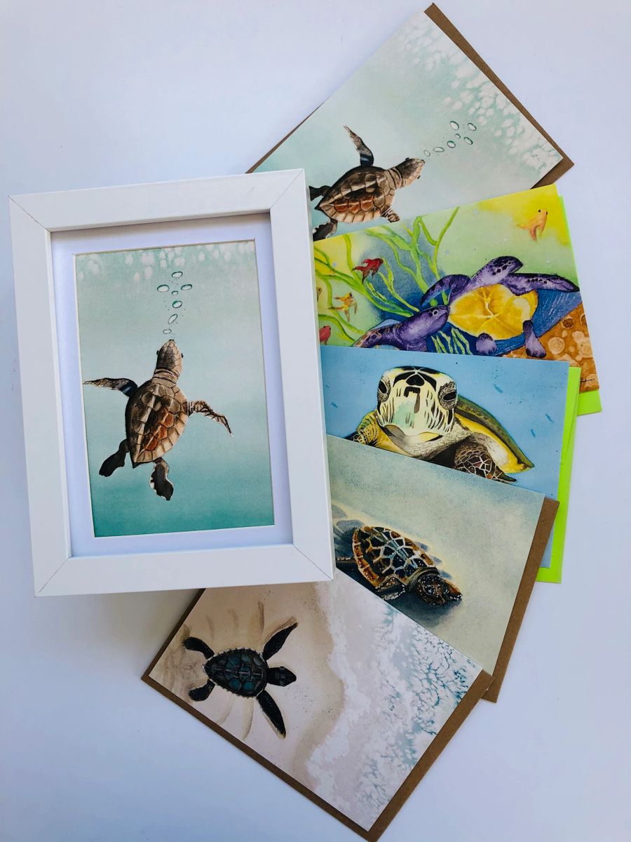 Turtle Gift Pack #2