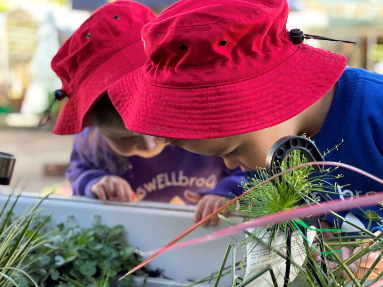 Muswellbrook Pre School Kindergarten - Home