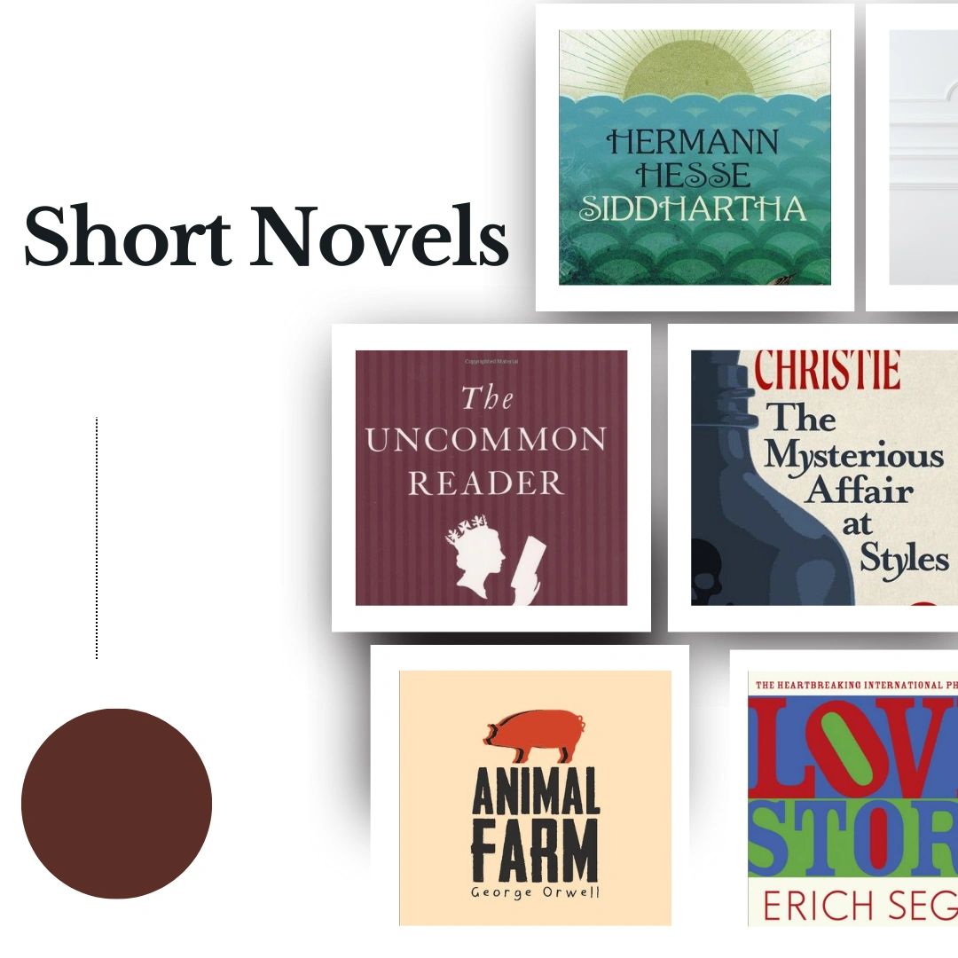 5 Best Short Novels to Read in a Day