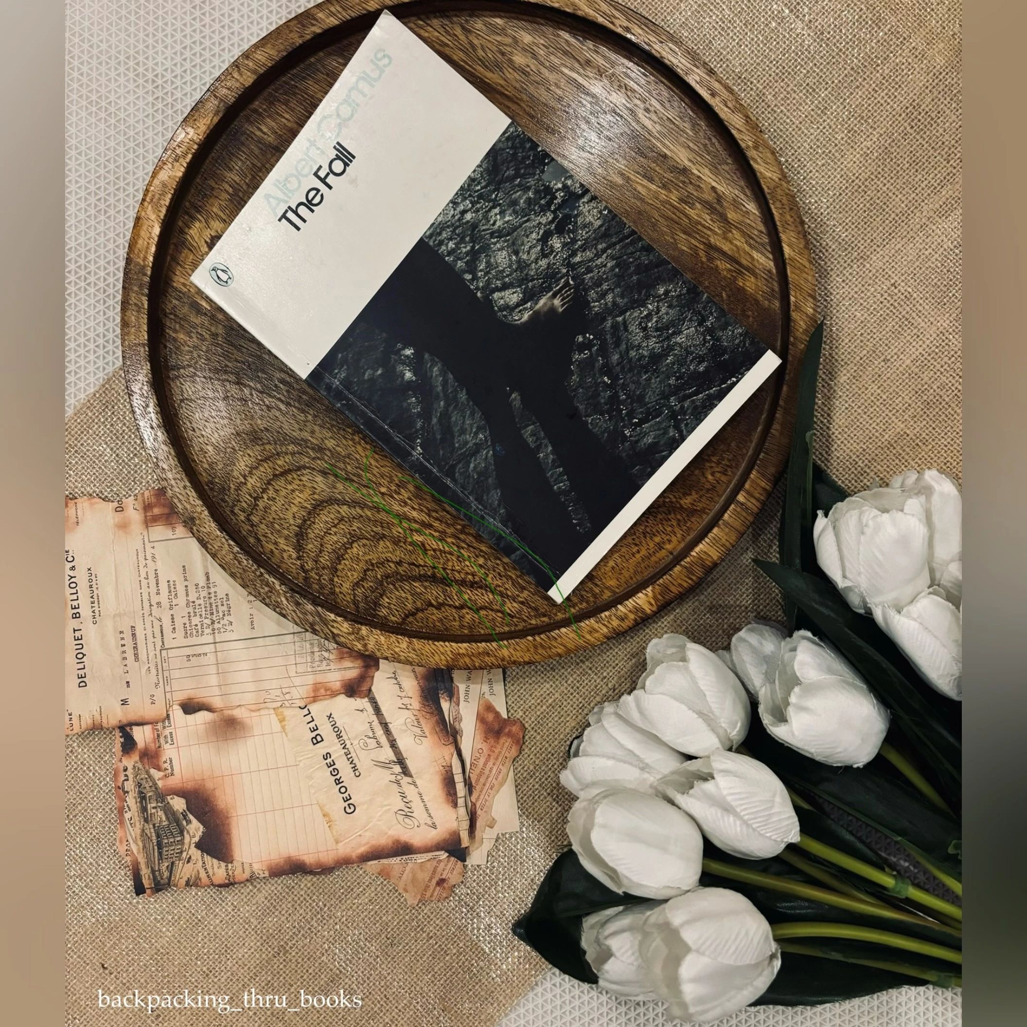 The Fall by Albert Camus