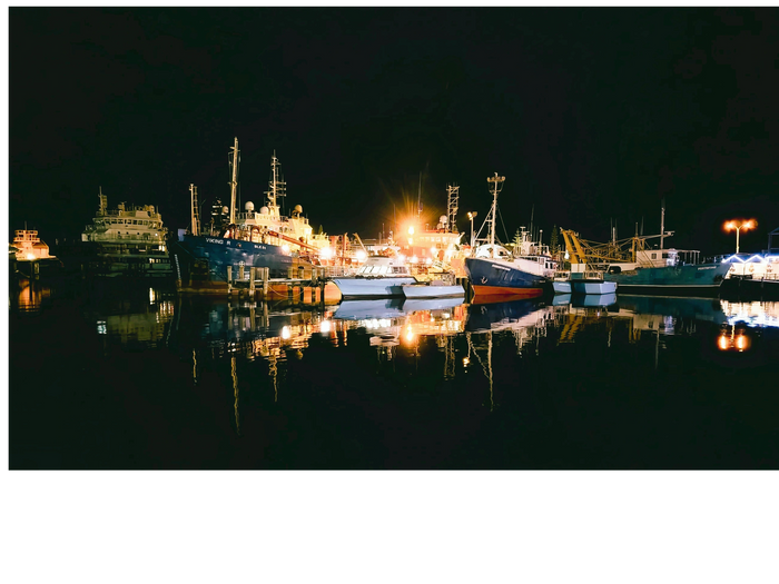 Shane Woods Photographer