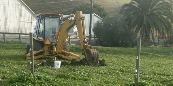 Septic soil testing and observation | Acorn Onsite, Inc. - California's ...