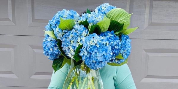 Florist, Wedding Florist - Lilly Les Plantes - Wesley Chapel, Florida