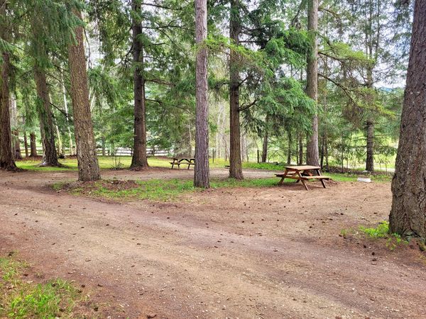 Mara Cottage Campground - Okanagan Camping, Mara lake camping Campsite