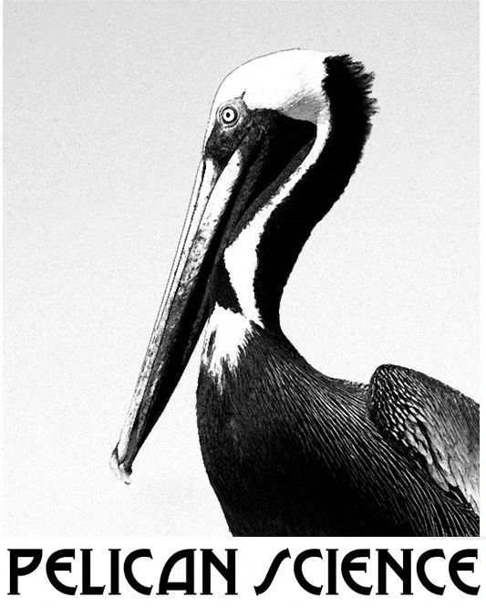 Pelican Science: Marine Conservation Efforts