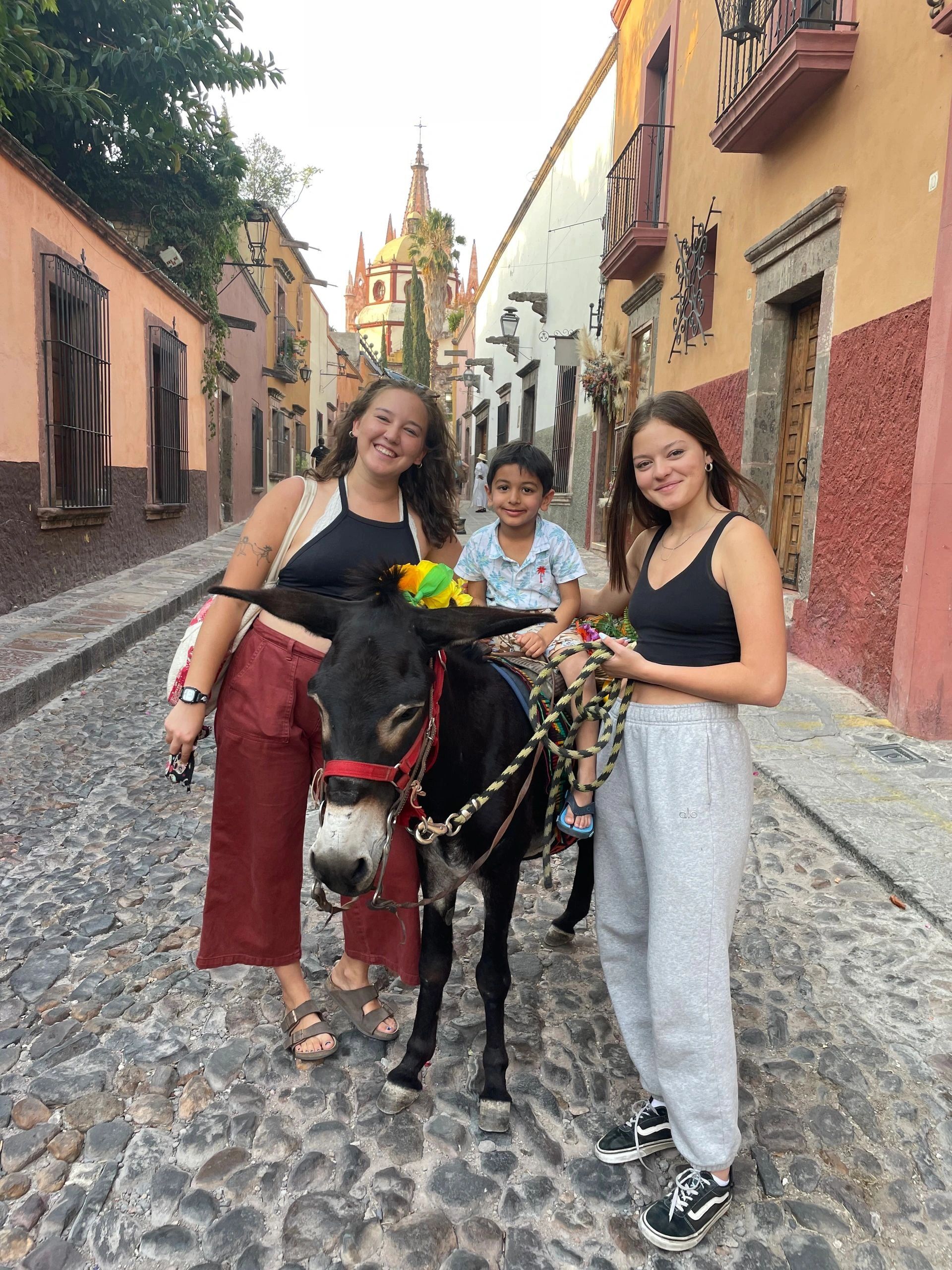 Babysitting, Pet sitting, House sitting | SMA SITTERS