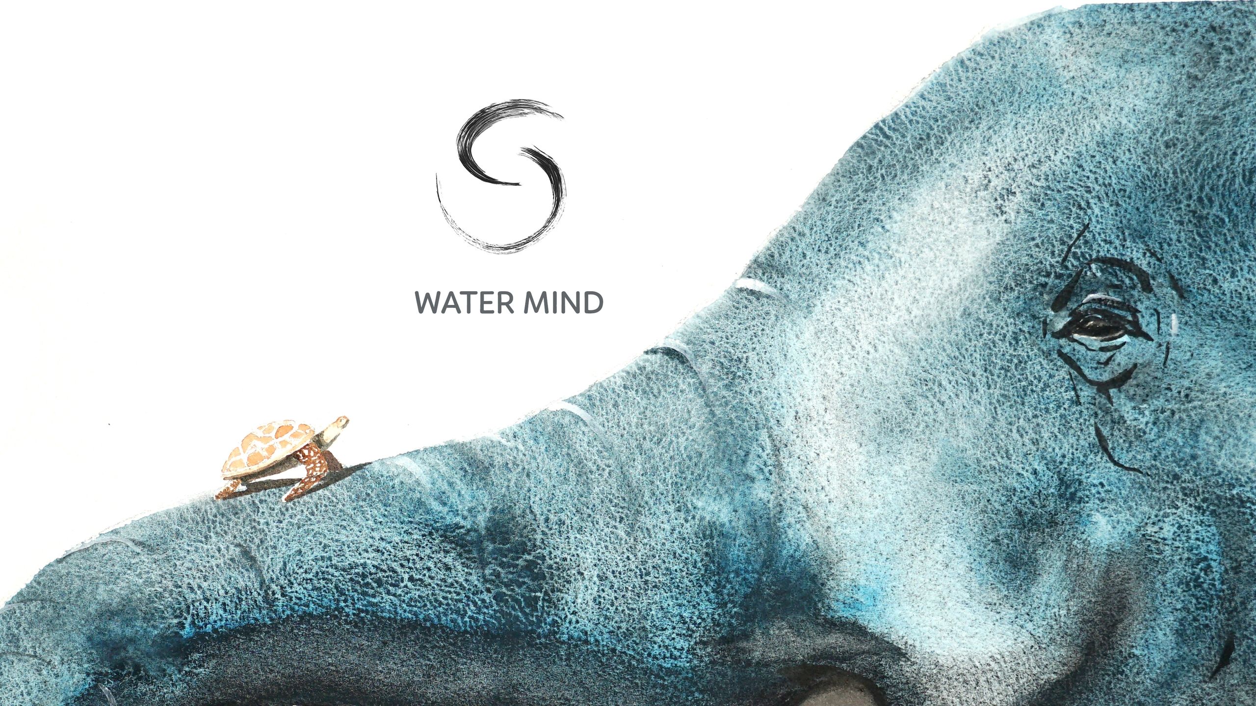 Learn Watercolors Online - Water Mind