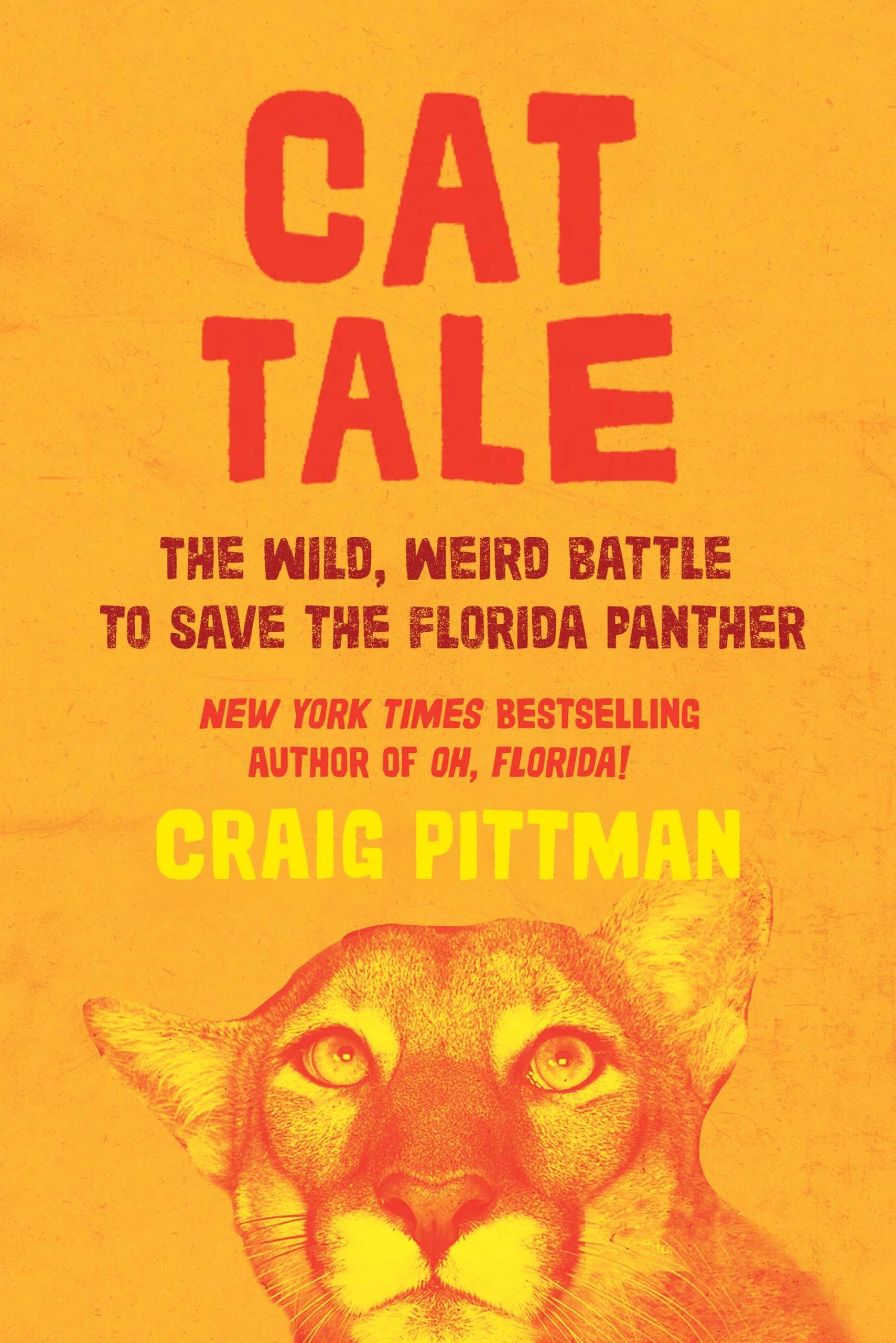Cat Tale Book