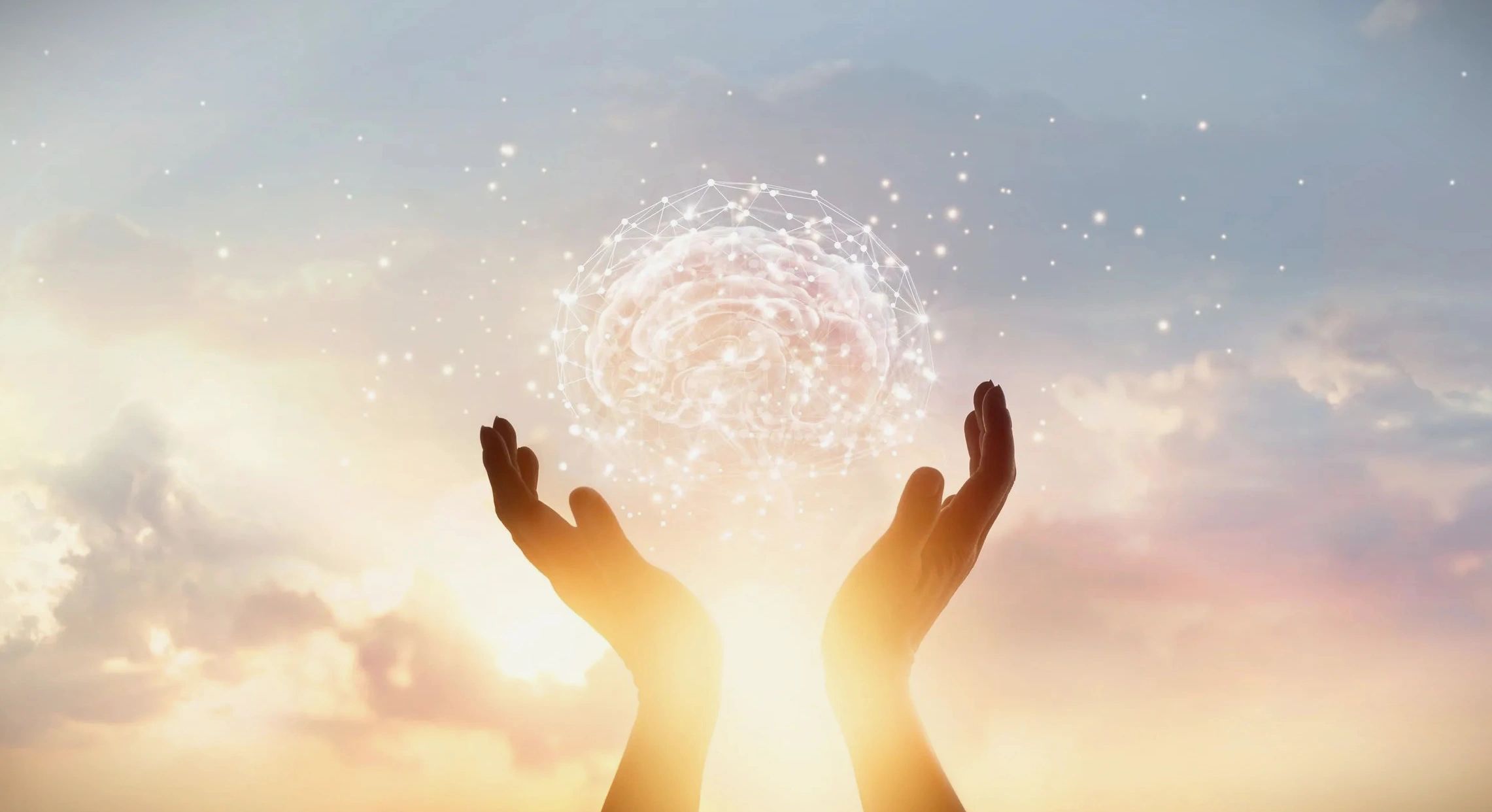 Stacy V. Smith, MD - Headache Medicine & Neuro-Ophthalmology