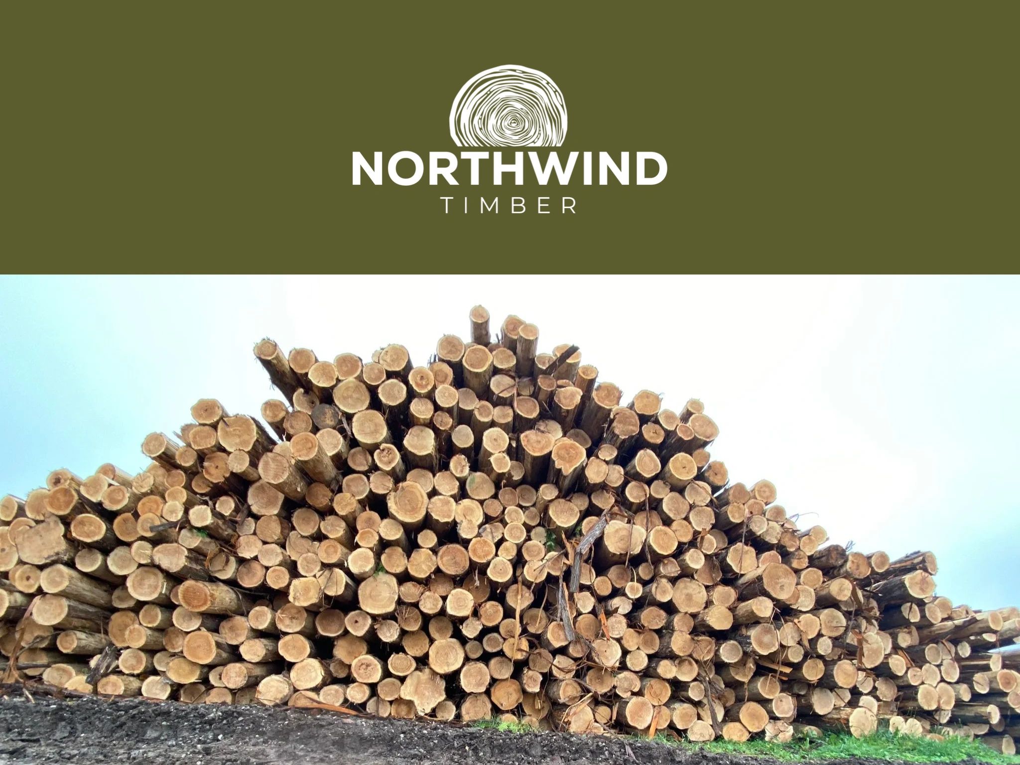 NorthWind Timber