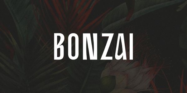 Your Ultimate Cocktail Bar, Shisha, and Asian Cuisine Experience