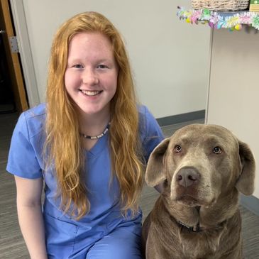 About | Grove Small Animal Hospital