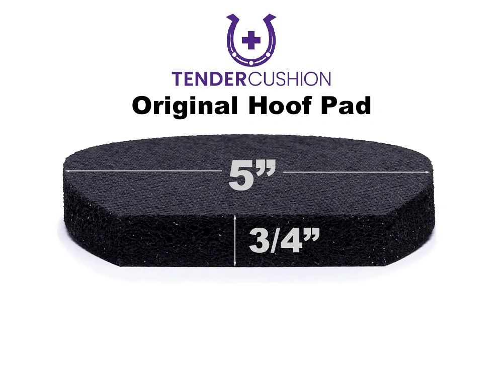 The Original Tender Cushion Equine Hoof Pad 5" wide