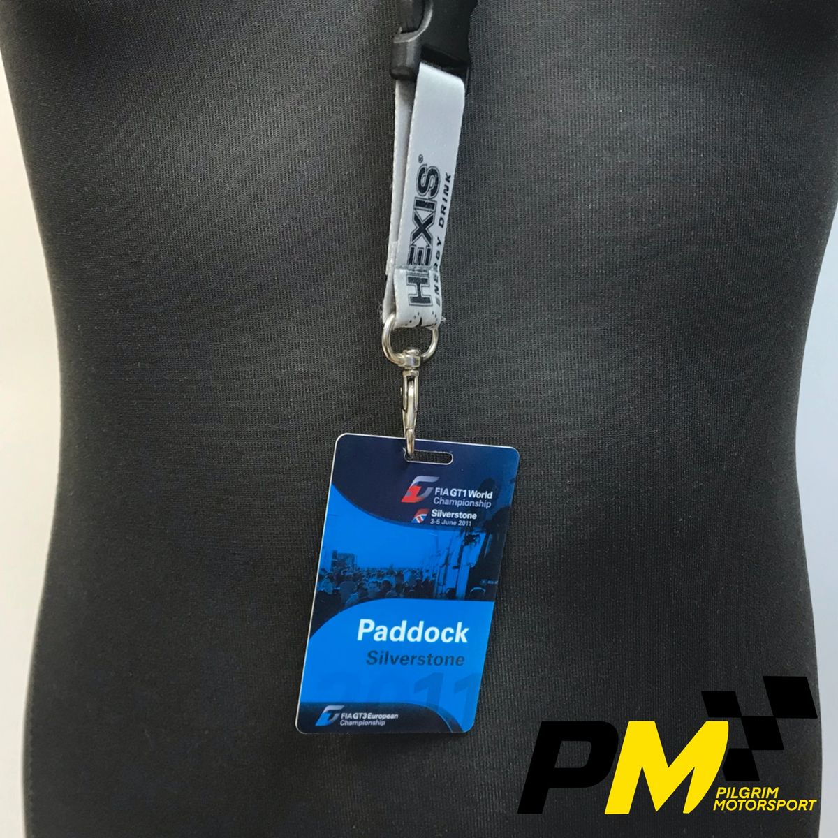 HEXIS Aston Martin Racing Team FIA GT1 World Championship Silverstone Paddock Pass and Lanyard