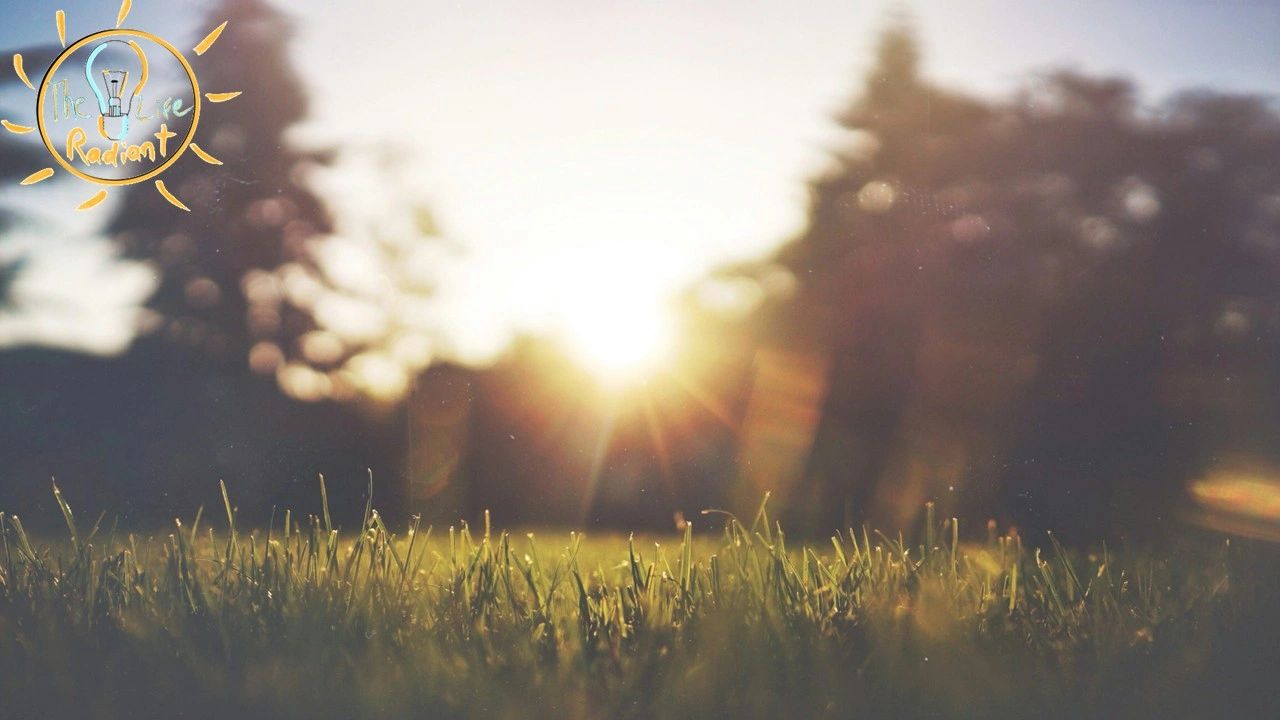 The Radiant Life Consultants - Executive Coaching, Leadership Coaching ...
