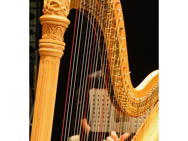 Carolina Chamber Music Festival