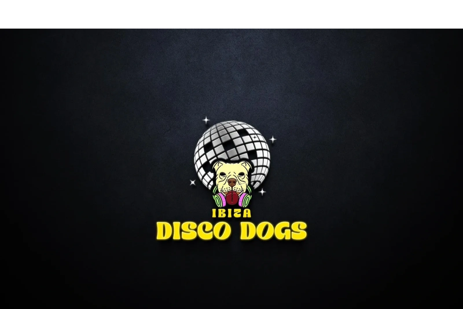 Rescue a Dog Today - Ibiza Disco Dogs Rehoming Program