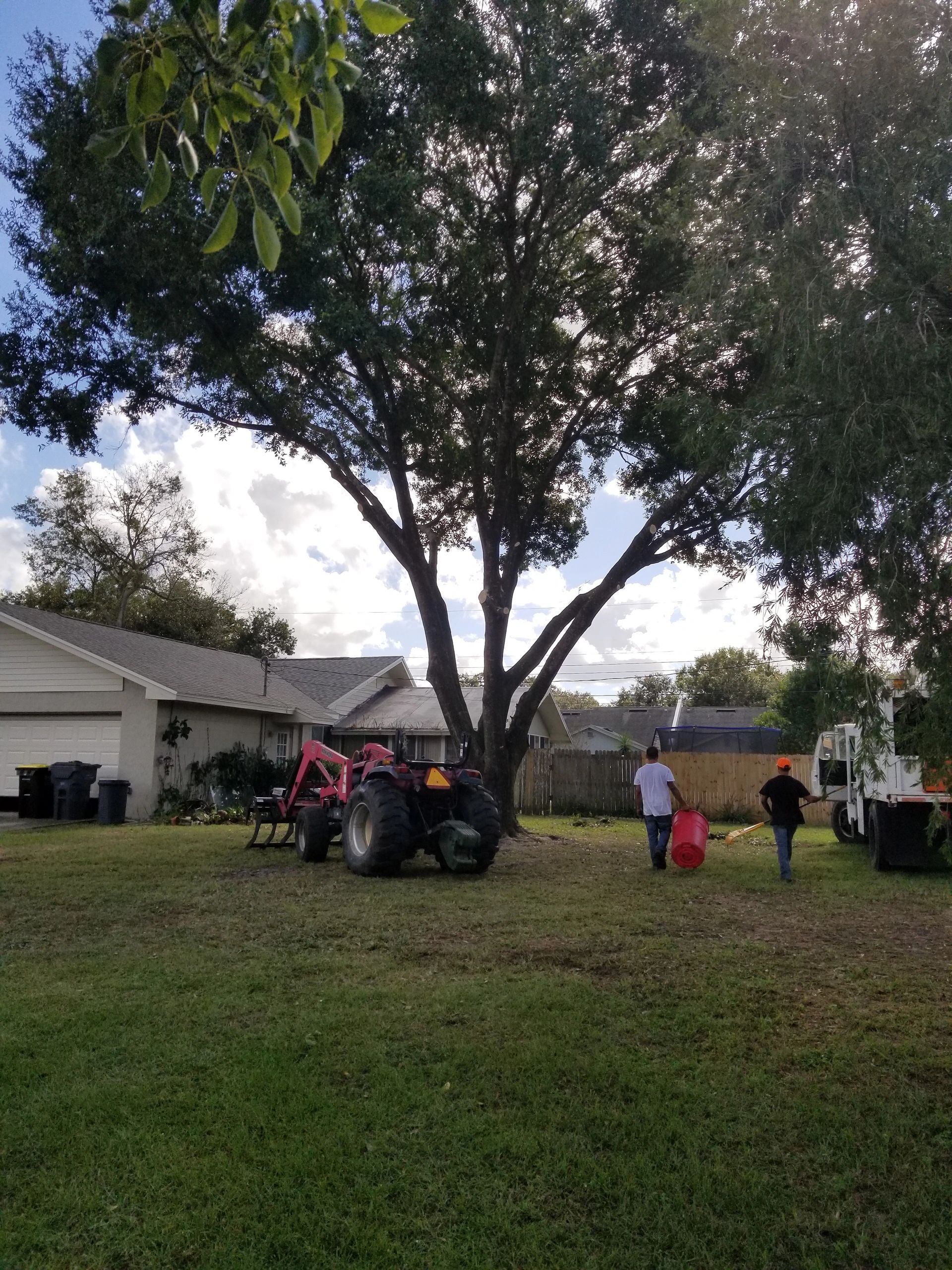 M&L Southern Tree Service