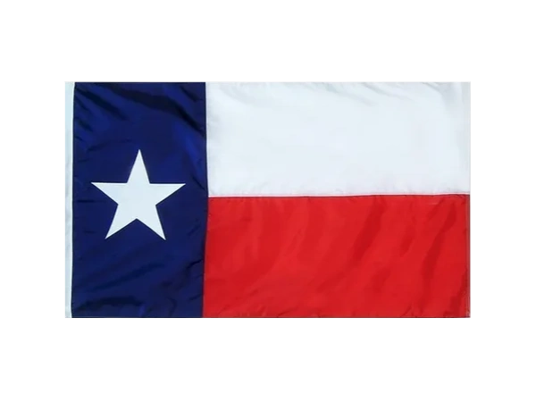 6' x 10' Texas Poly Flag