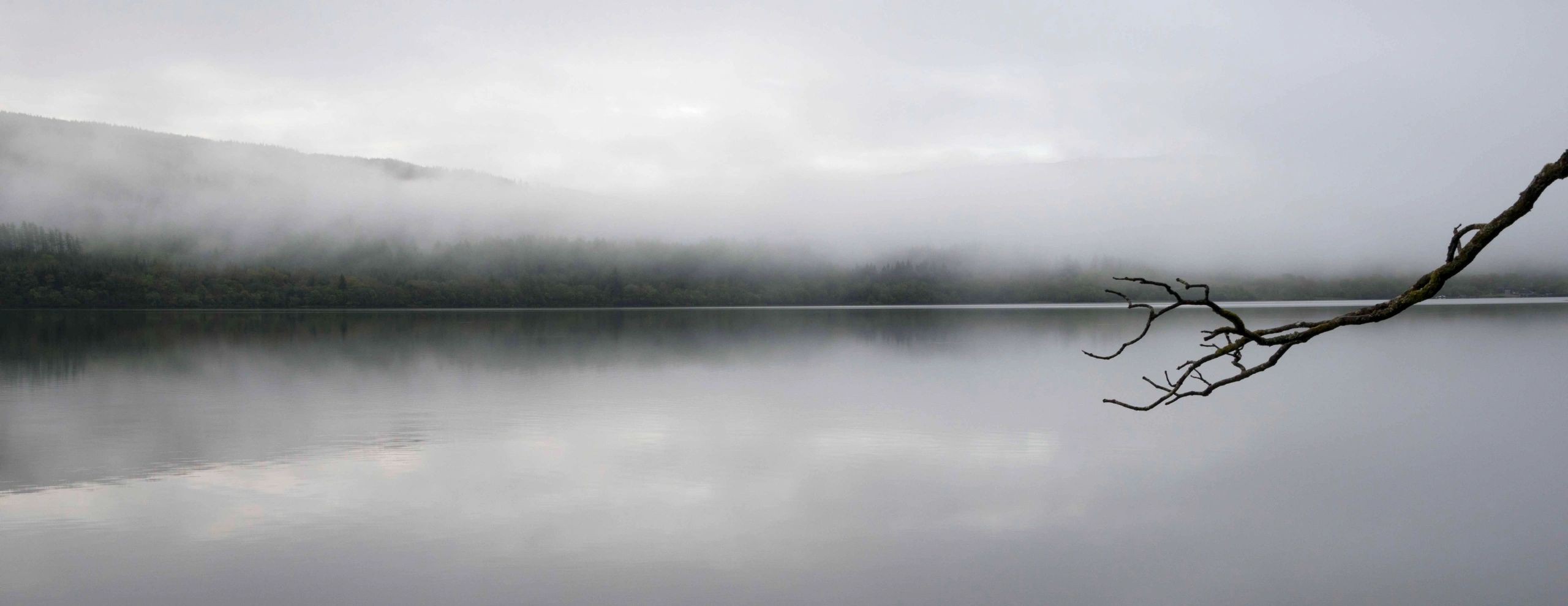 Mark Oxtoby Photography