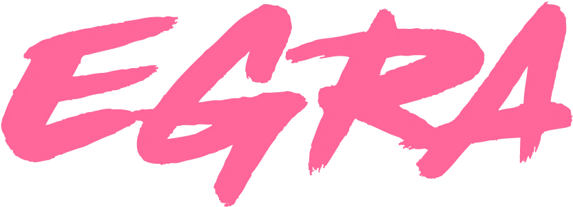 Tech Consultants - Egra