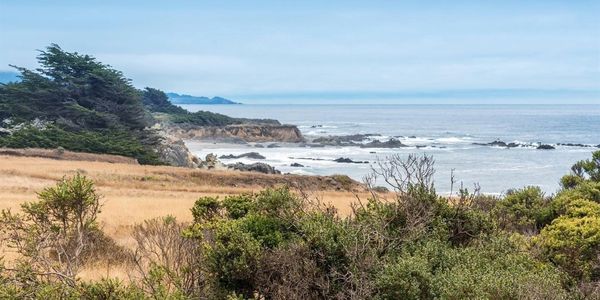 Sea Ranch Real Estate - Real Estate, Realtor, Real Estate, Sea Ranch