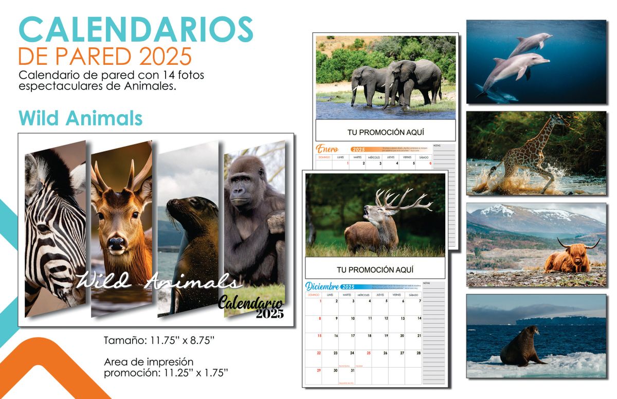 Wild Animals Personalized Wall Calendars