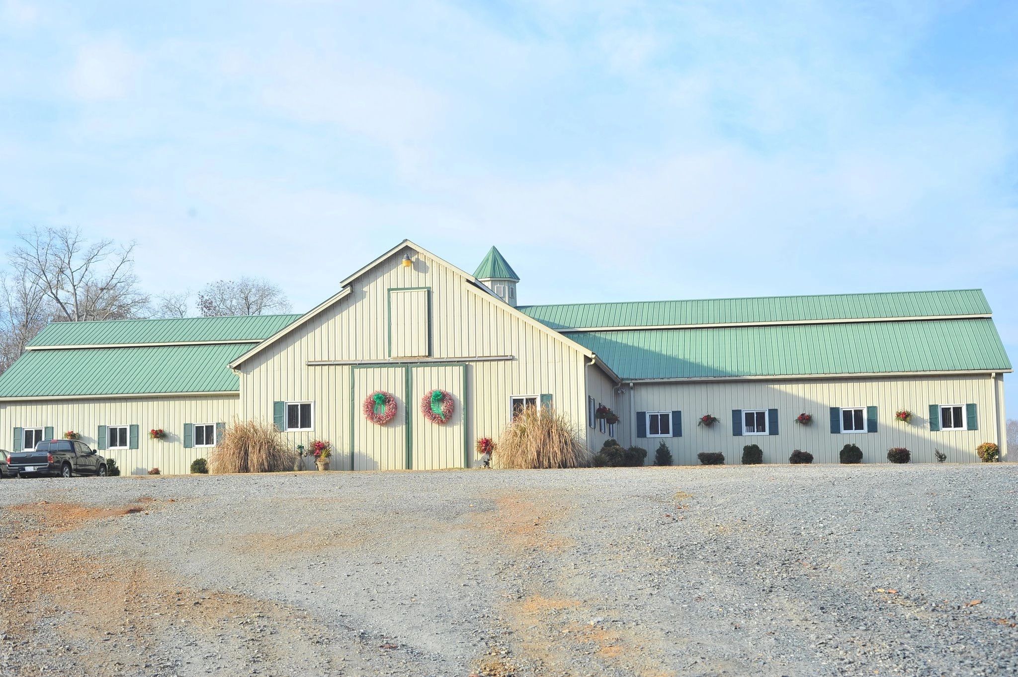 Expert Horse Training Services