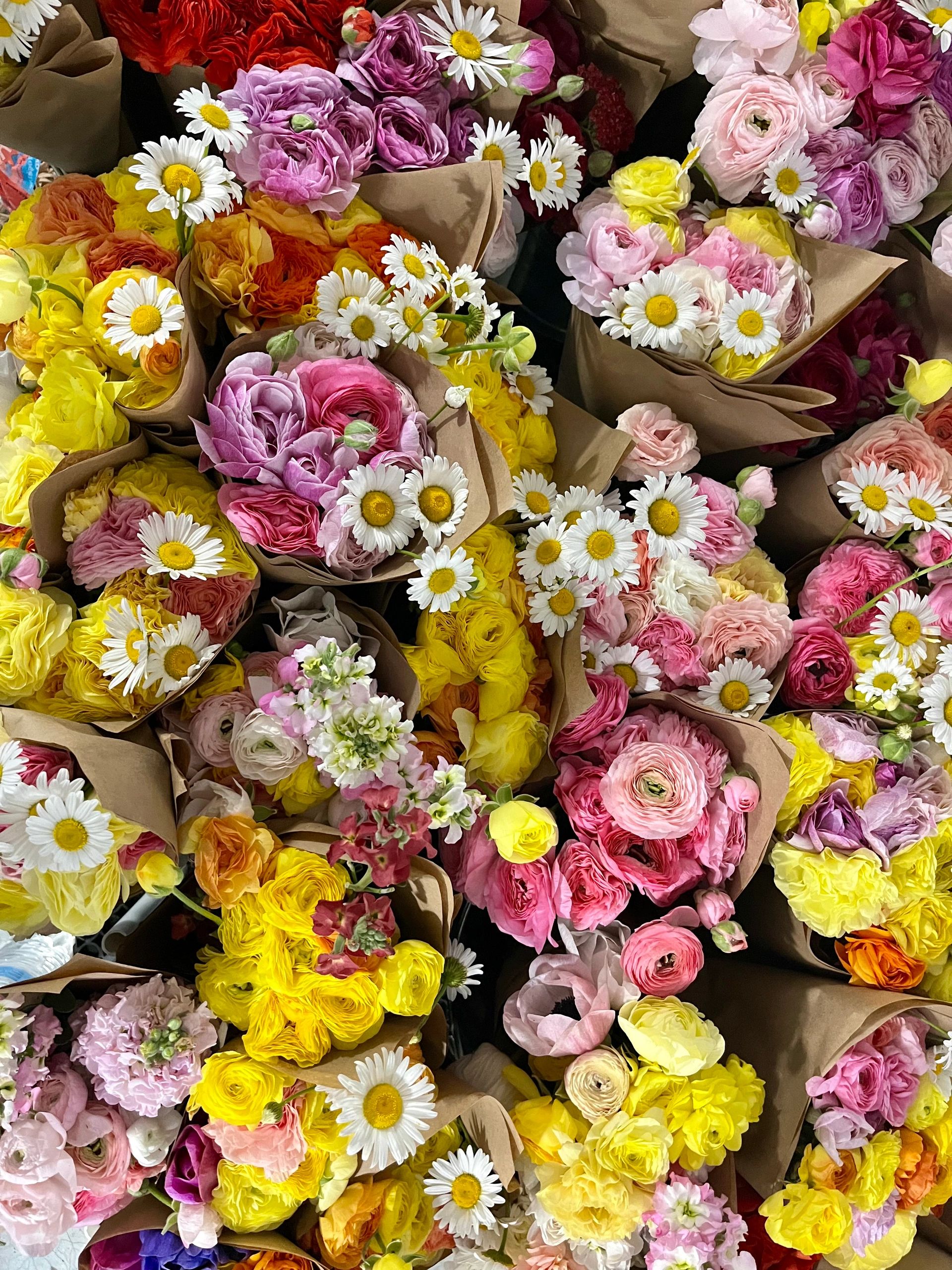 Snyder Flower Farm - Fresh Cut Flowers, Fresh Flower Bouquets, Fresh ...