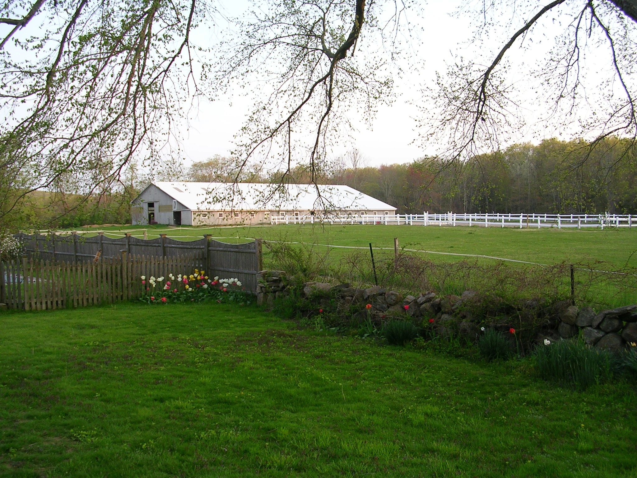 Canonchet Farm