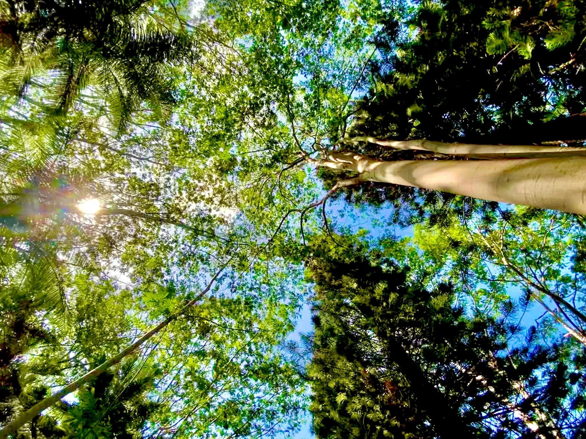 Kīnā'ole Publishing