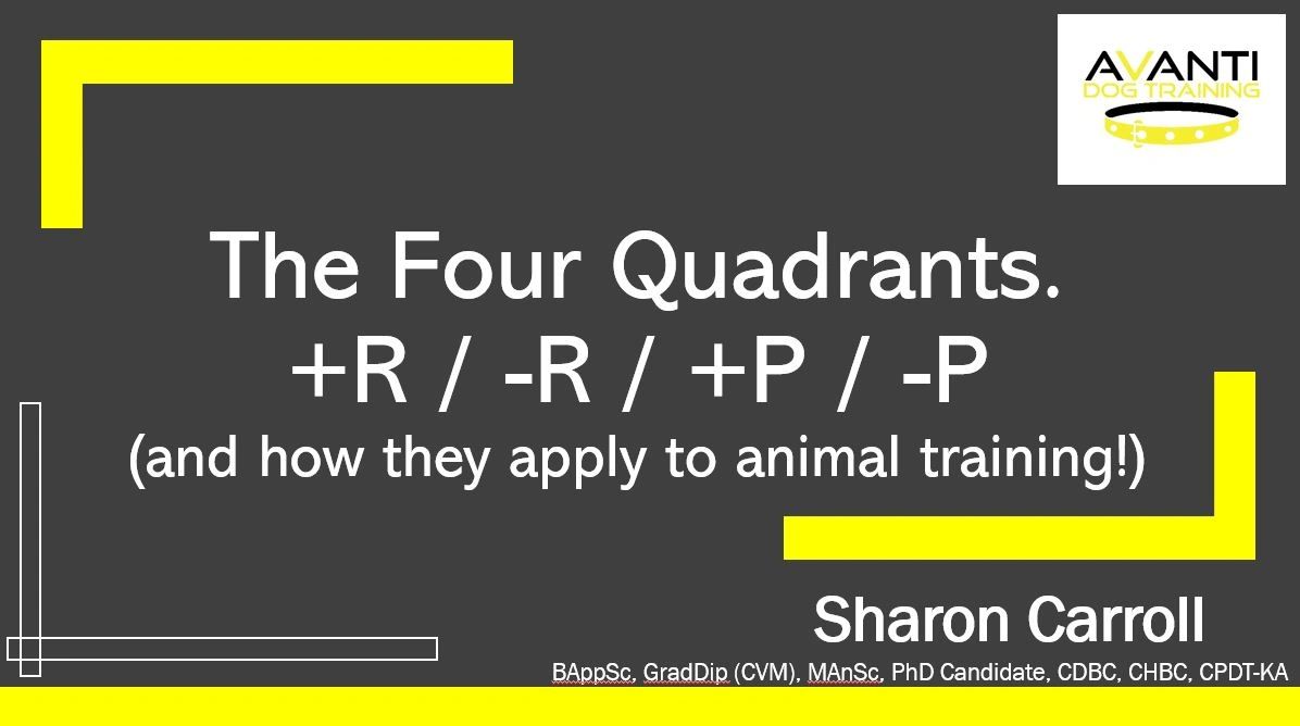The 4 quadrants of operant conditioning (+R, -R, +P, -P)