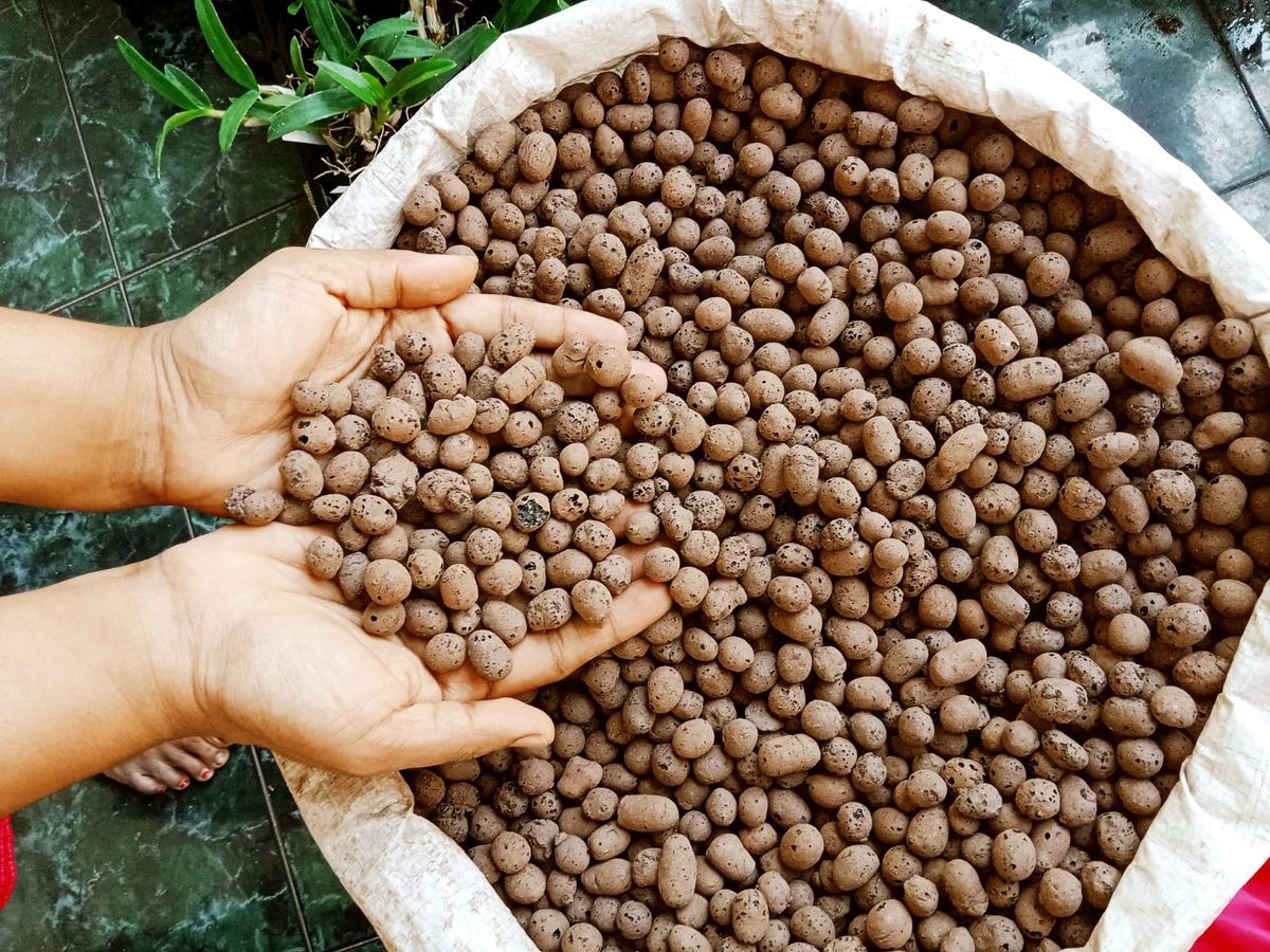 Expanded Clay Pellets/ LECA