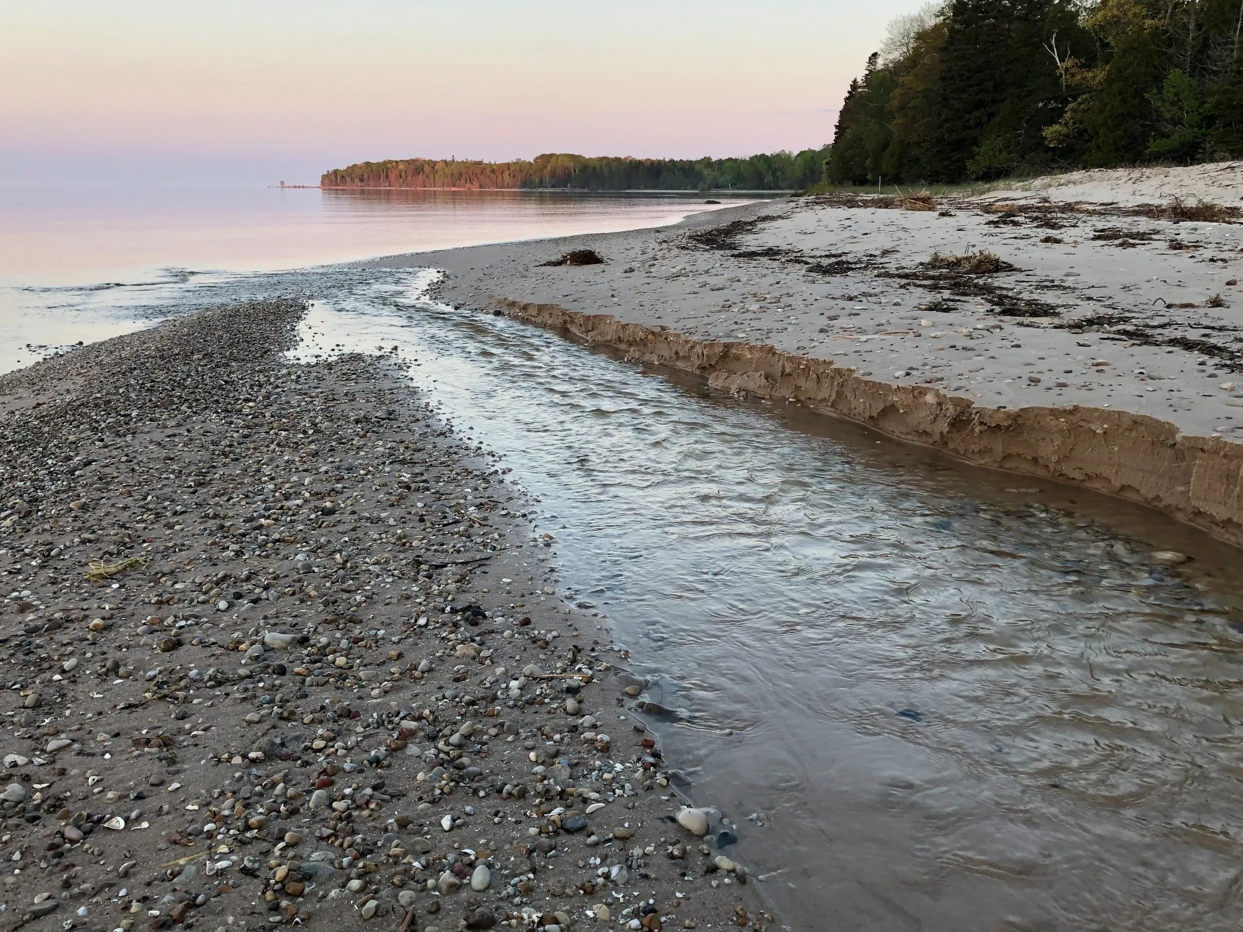 Home [beaverislandconservancy.org]