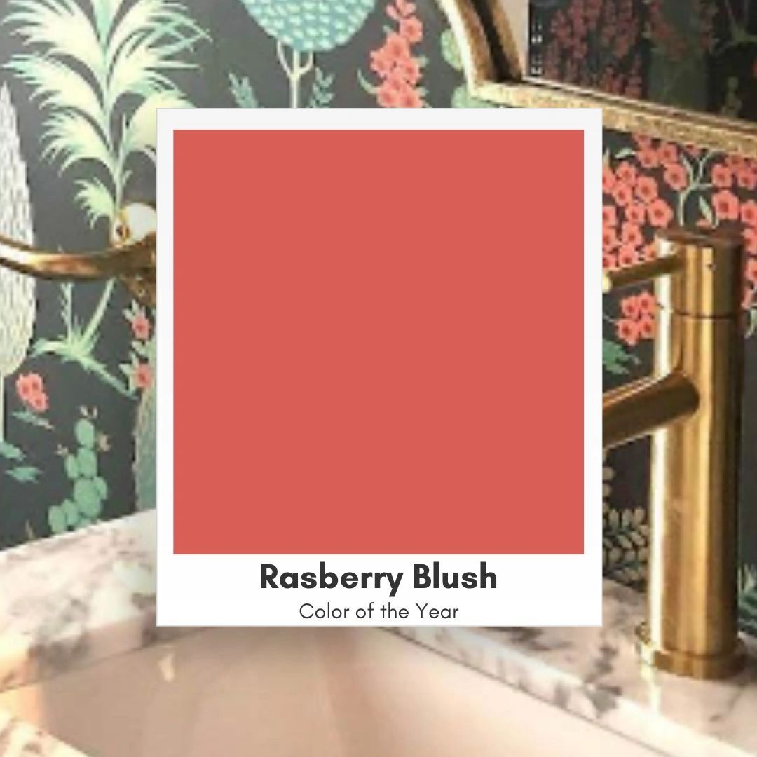Meet Rasberry Blush, Benjamin Moore's 2023 Color of the Year!