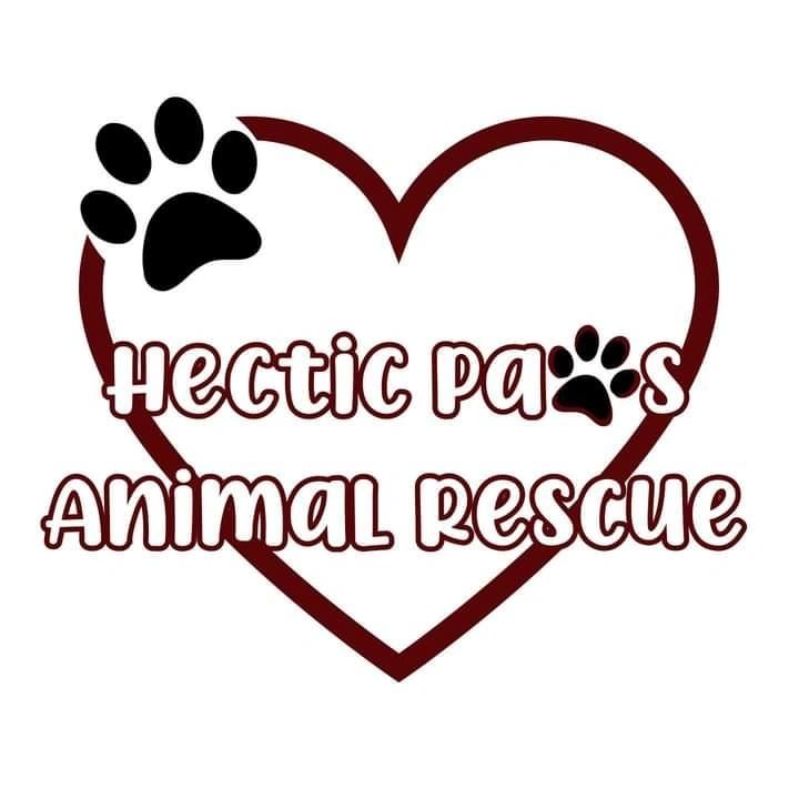 Hectic Paws Animal Rescue / specializing in bottle babies