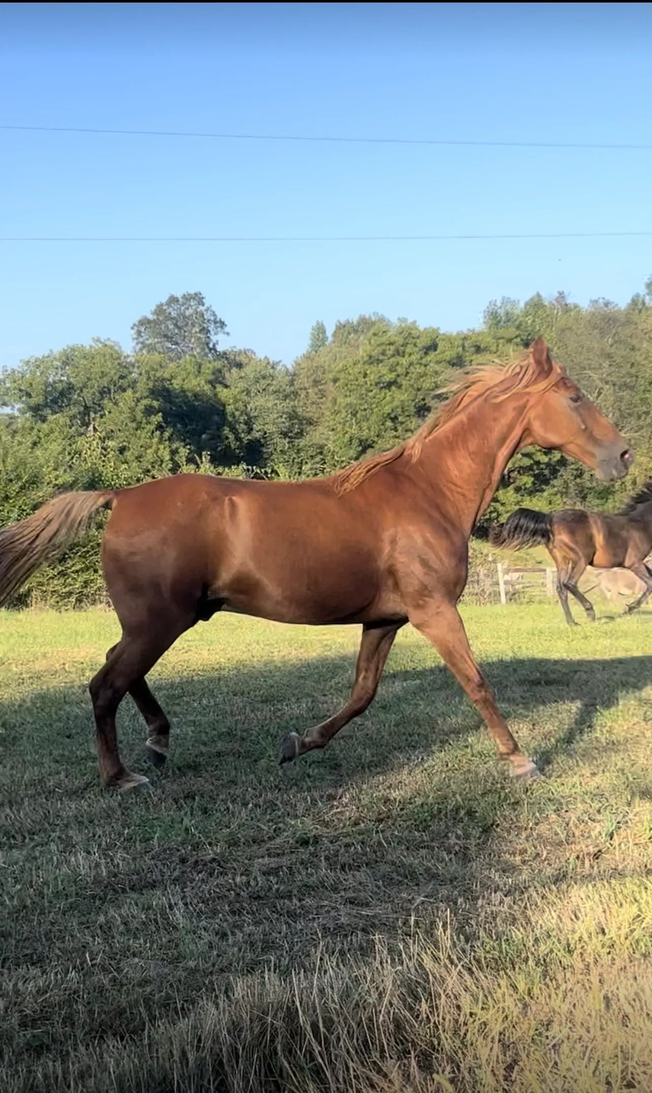 HOME [christkidsranch.org]