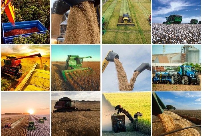 Brazilian Grain Harvest Advances with Favorable Weather