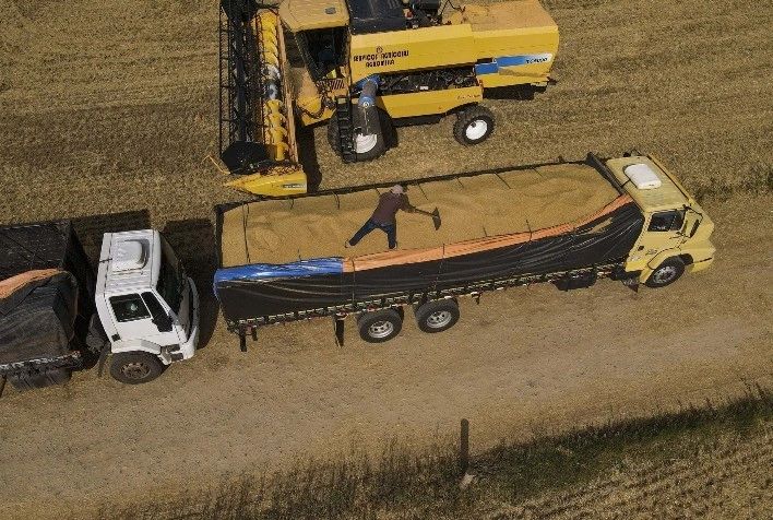 Wheat Market Ends 2024 with Slow Negotiations