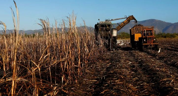 Why Cuba's sugar industry regressed 2 centuries in 5 years
