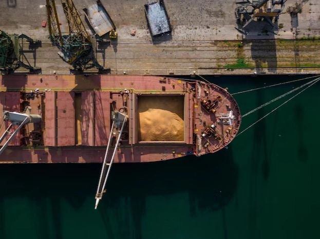 Brazil ended December 2025 exporting 43% more corn