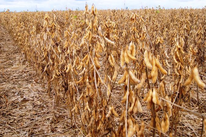 Soybeans remain sideways on the CBOT this Tuesday afternoon