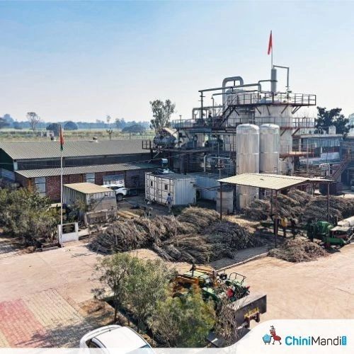 Maharashtra: 189 mills start crushing operations