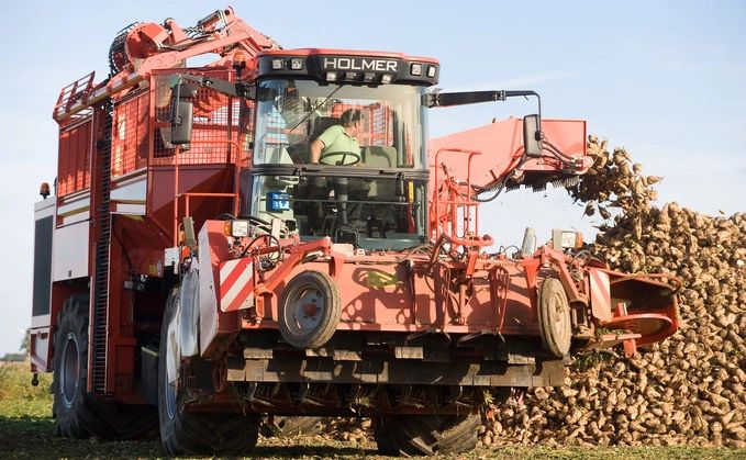 Sugar Beet Prices Edge Higher: Is a 2026 Rally in the Making?