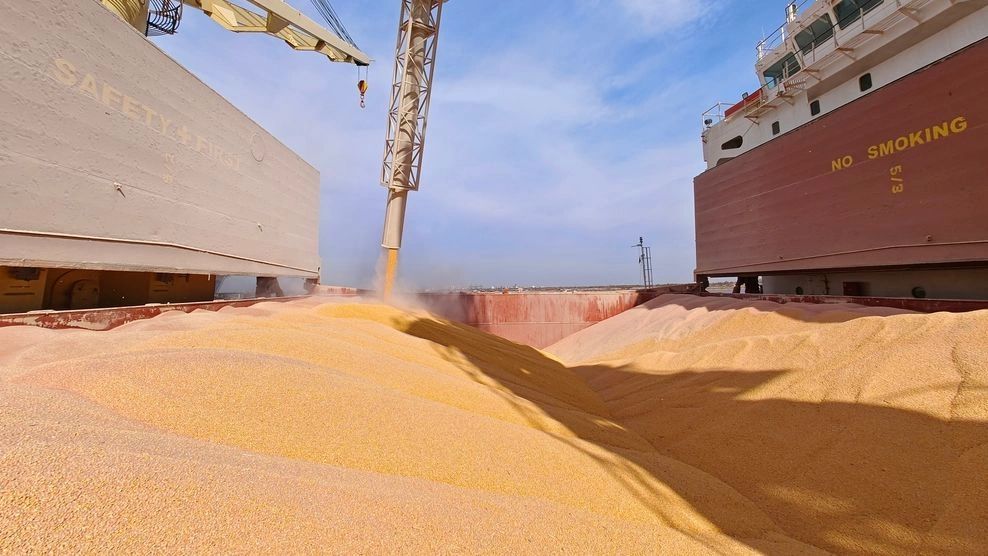USDA to see weekly soybean and corn shipments up through 2024