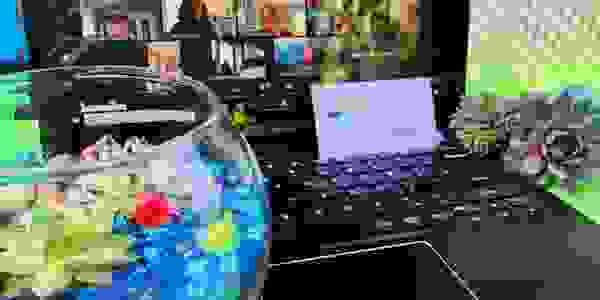 Virtual Plant Party | Party'n With Plants