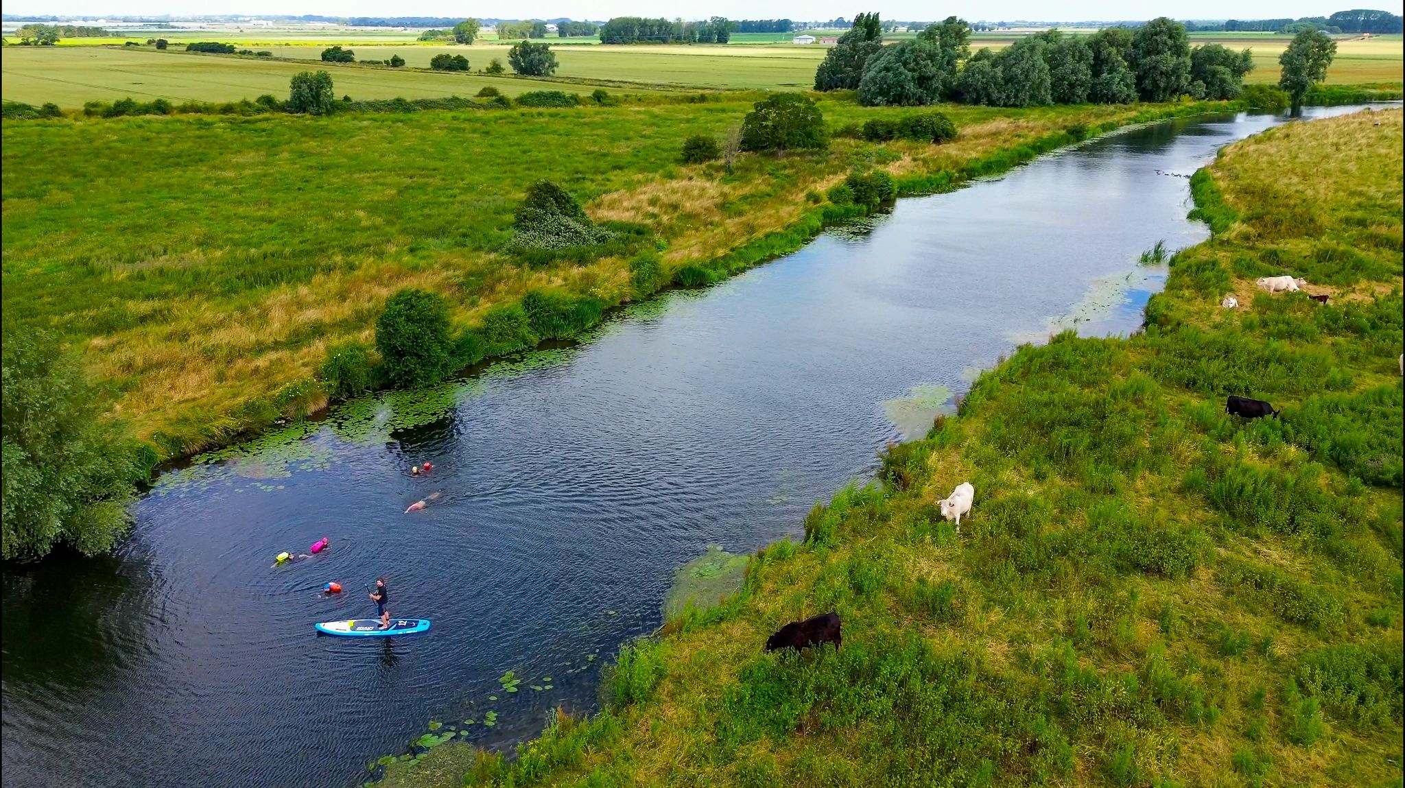 The Cambridge Swimming Company - Wild Swimming, Cambridgeshire