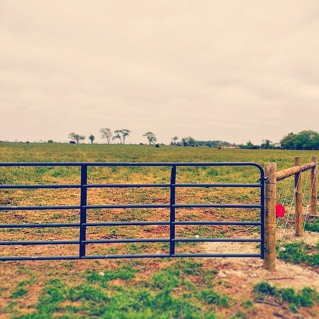 Homestead Agricultural Services LLC