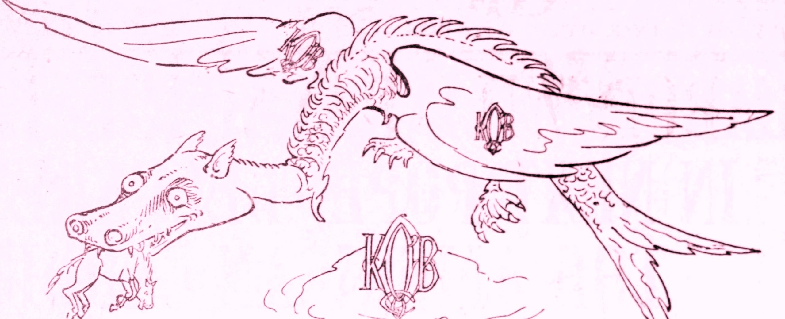 Seeking the Salt Dragon
